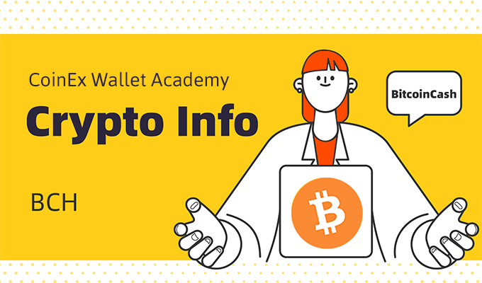 BCH: The Younger Brother of BTC
